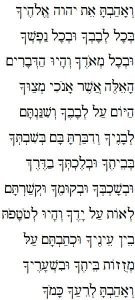 vahavta | Messianic Torah Portion